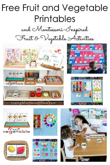Montessori-Inspired Fruit and Vegetable Activities Using Free Printabl ...