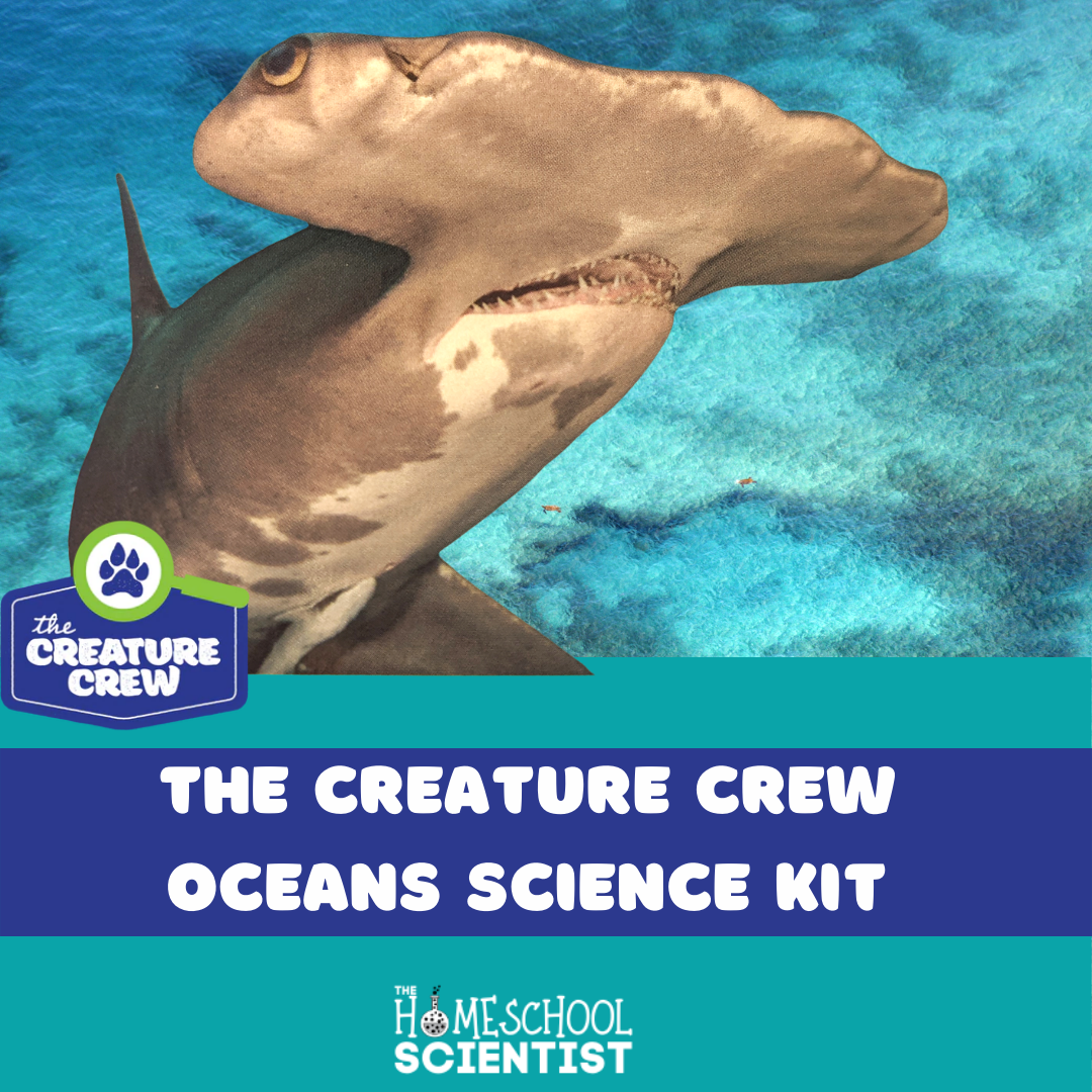 Science Kit Review: The Creature Crew – The Ocean – Open Edutalk