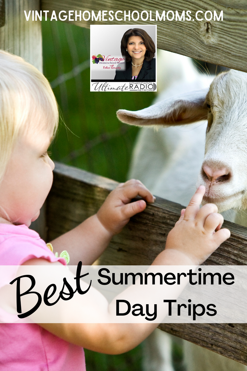 Best Summertime Day Trips – Open Edutalk